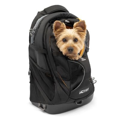 Kurgo Hunderucksack G Train K9 Schwarz Im VidaXL Trendshop VidaXL ch Kurgo Hunderucksack G Train K9 Schwarz Im VidaXL Trendshop VidaXL ch